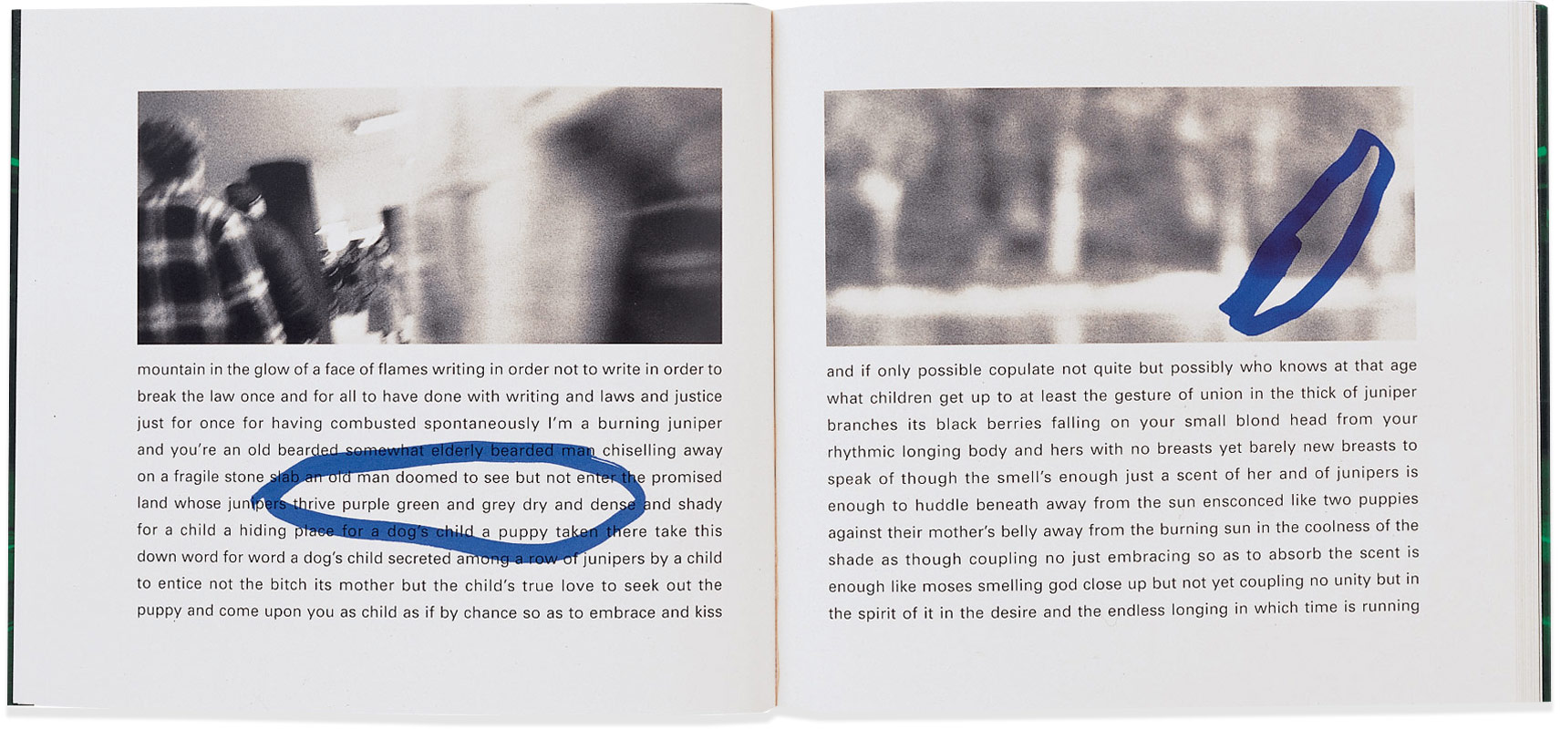 The Palaver | Book Works