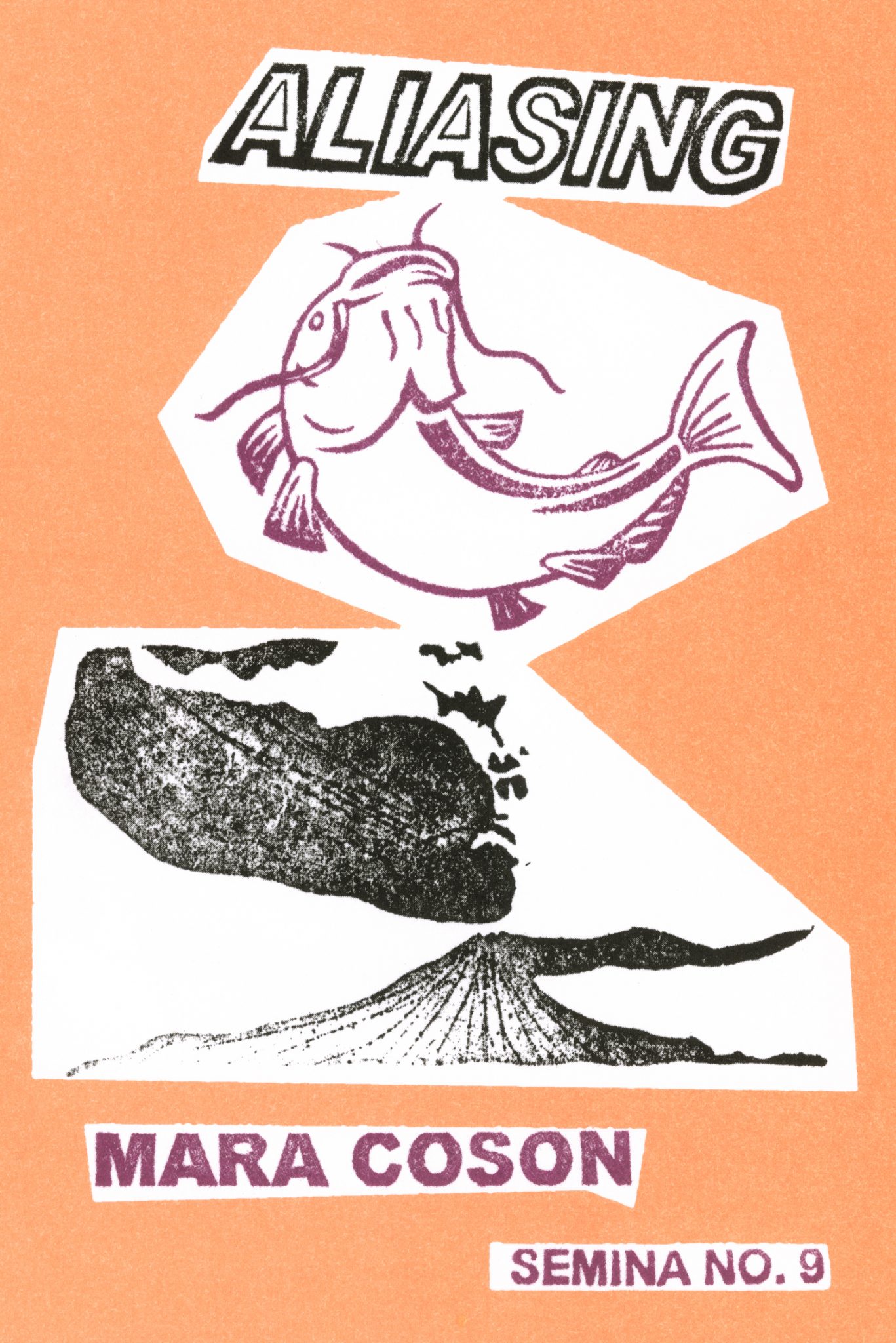 Book of the Month – Aliasing by Mara Coson | Book Works