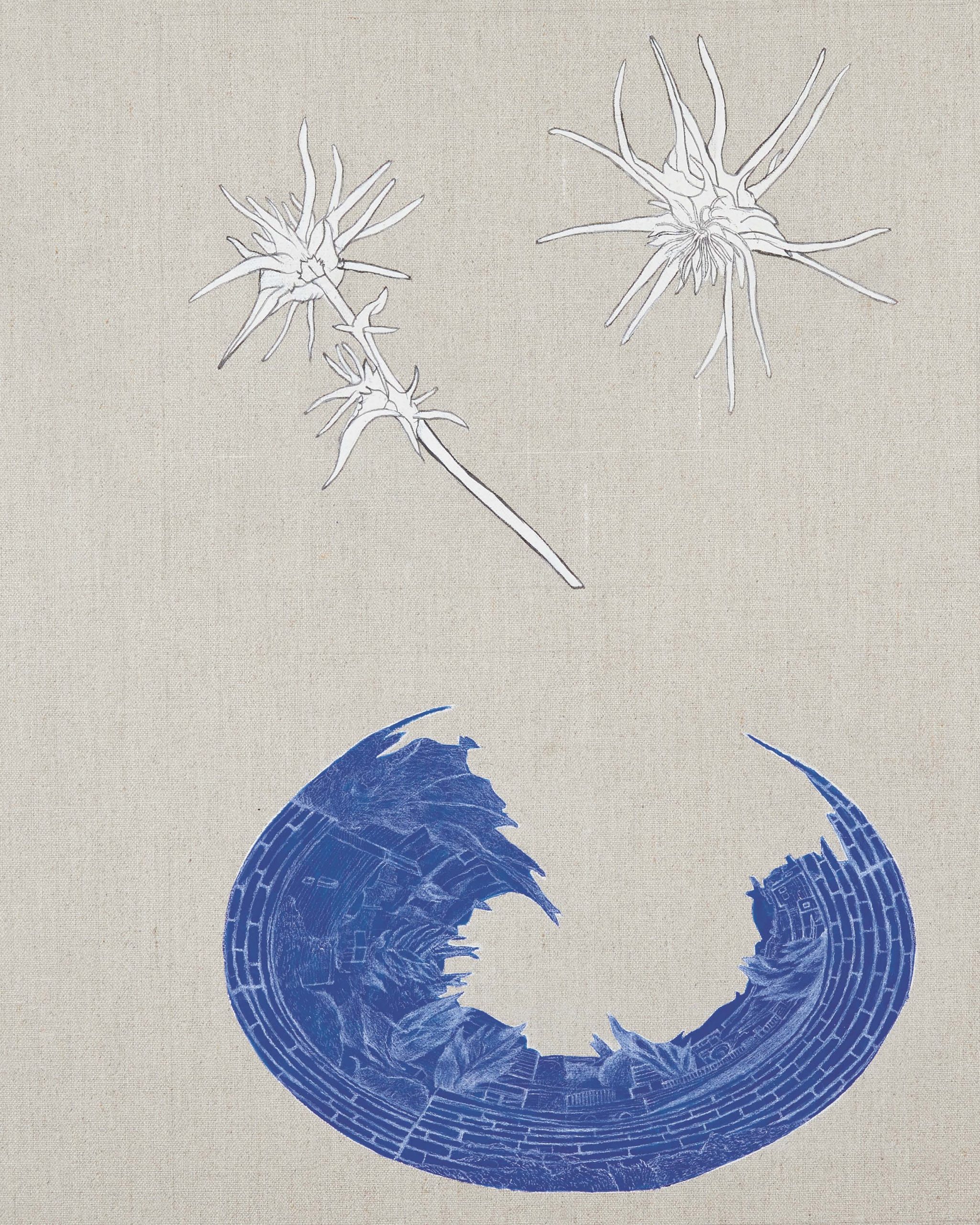 Anamorphosis | Book Works